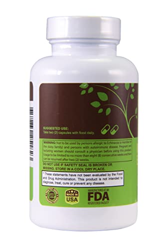 essential vitamins for immune system support