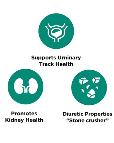 essential vitamins for kidney care