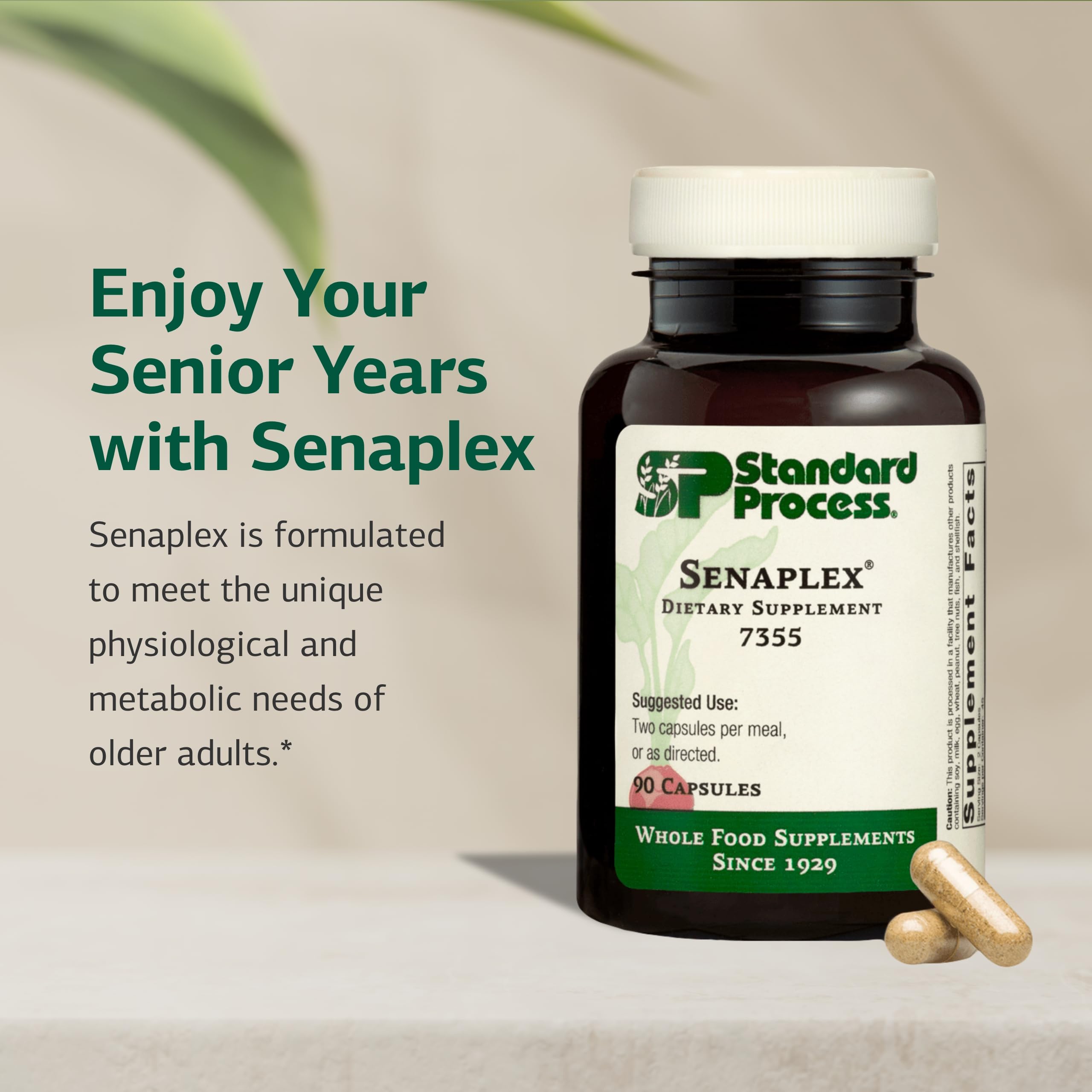 essential vitamins for nervous health