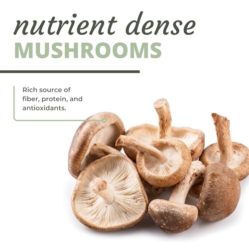 Essential vitamins for overall wellness