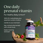 essential vitamins for pregnancy health