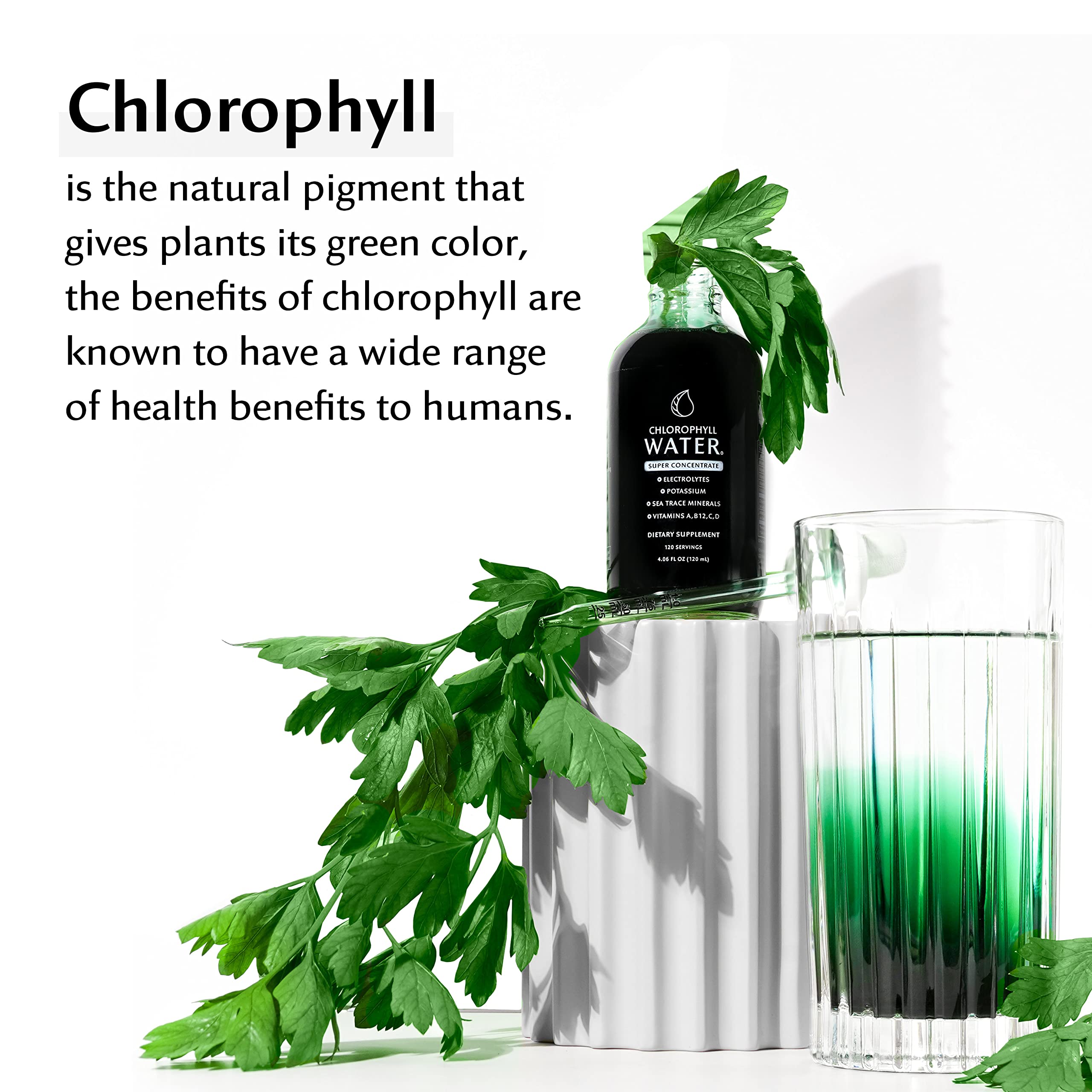 essential vitamins in chlorophyll drops