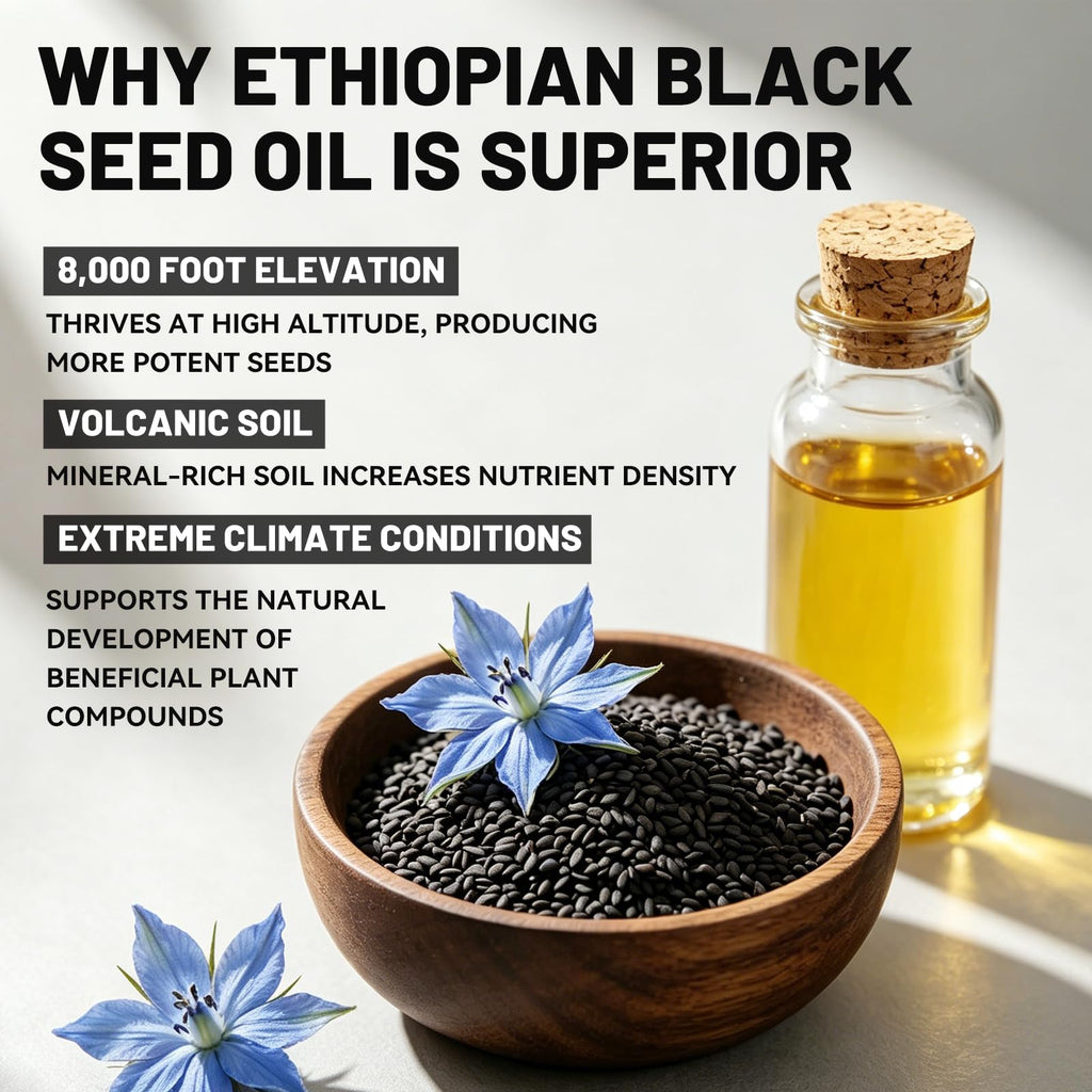 Ethiopian black seed oil benefits