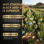 Ethiopian Black Seed Oil for skin
