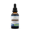 Eucalyptus alcohol-free extract benefits