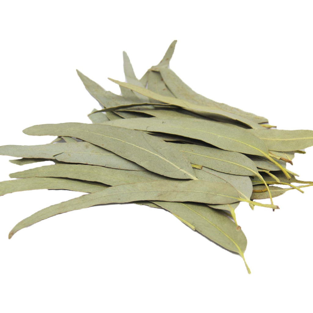eucalyptus leaves for soothing tea