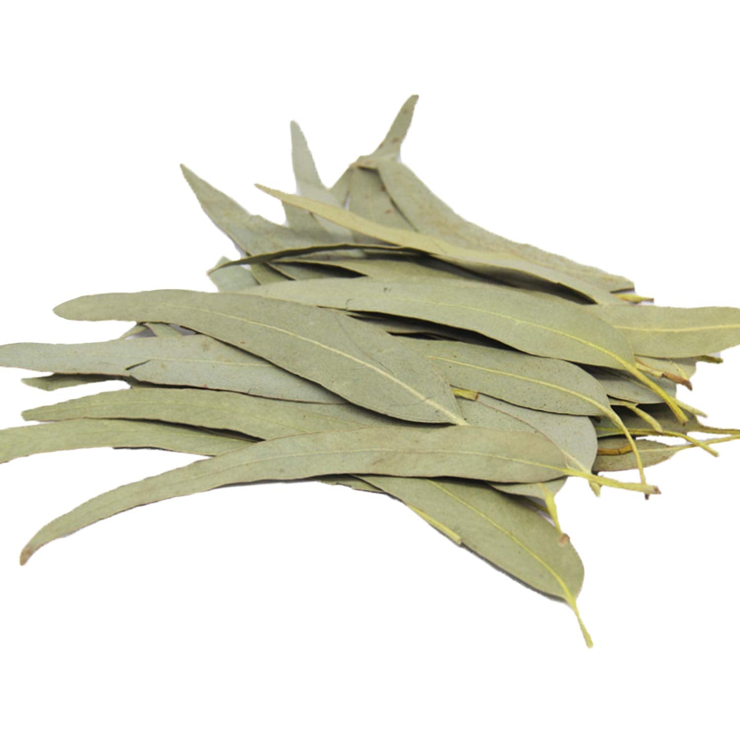 eucalyptus leaves for soothing tea