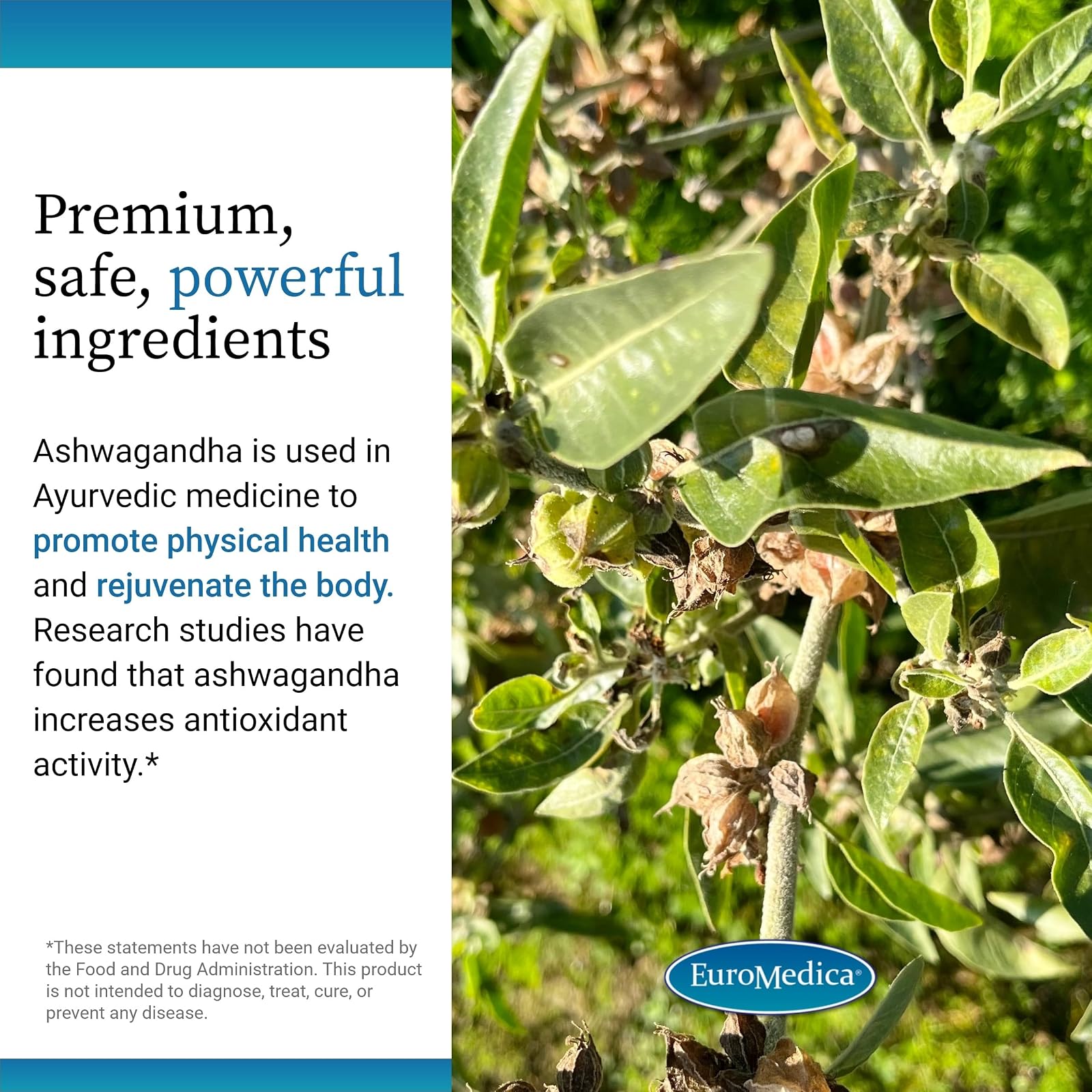 EuroMedica ashwagandha for better sleep