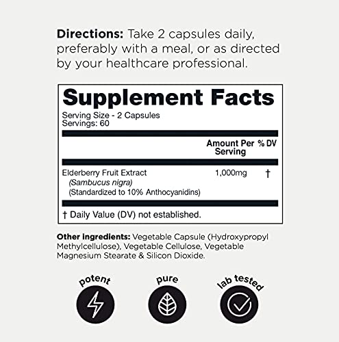 European black elderberry health support