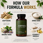 EVEKIND multivitamins for balanced mood