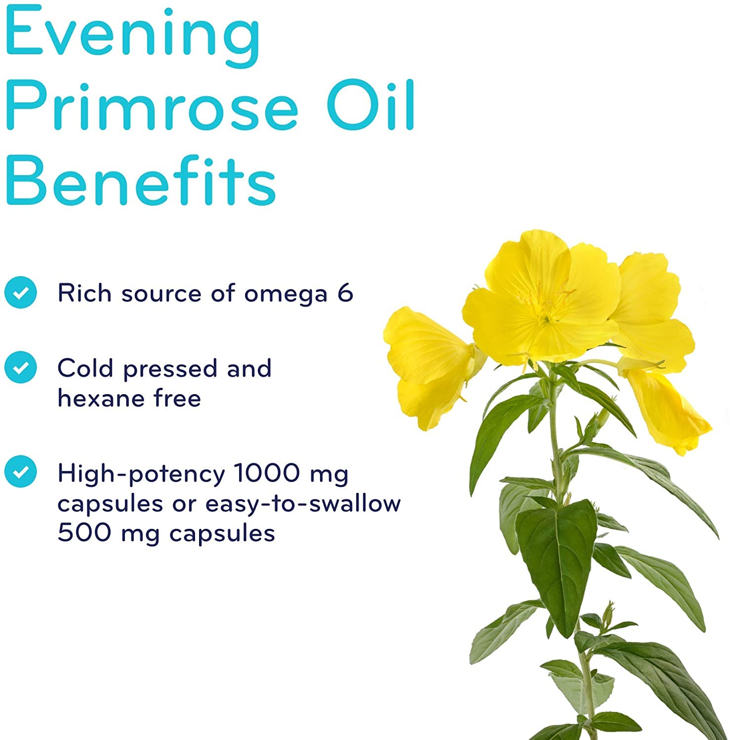evening primrose oil for skin health