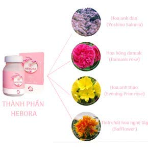 evening primrose oil for women's wellness