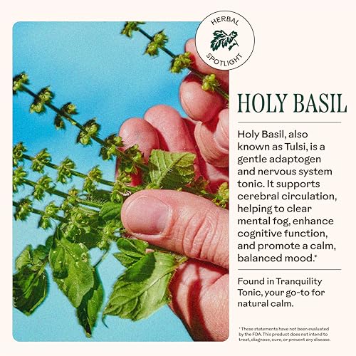 evening wellness with ashwagandha tonic