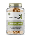 Evergreen Herbs Cinchona health benefits