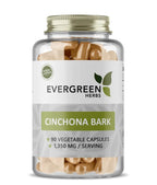Evergreen Herbs Cinchona health benefits