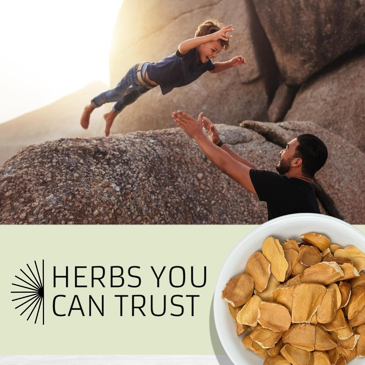 Evergreen Herbs herbal supplement for vitality