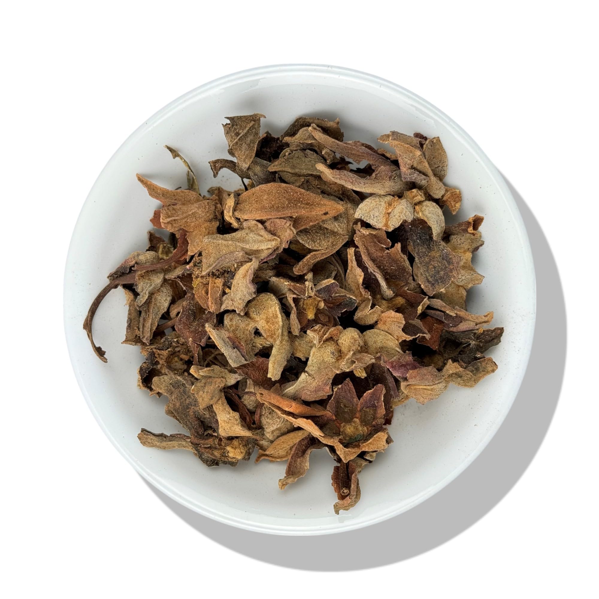 Evergreen Herbs herbal supplements for wellness