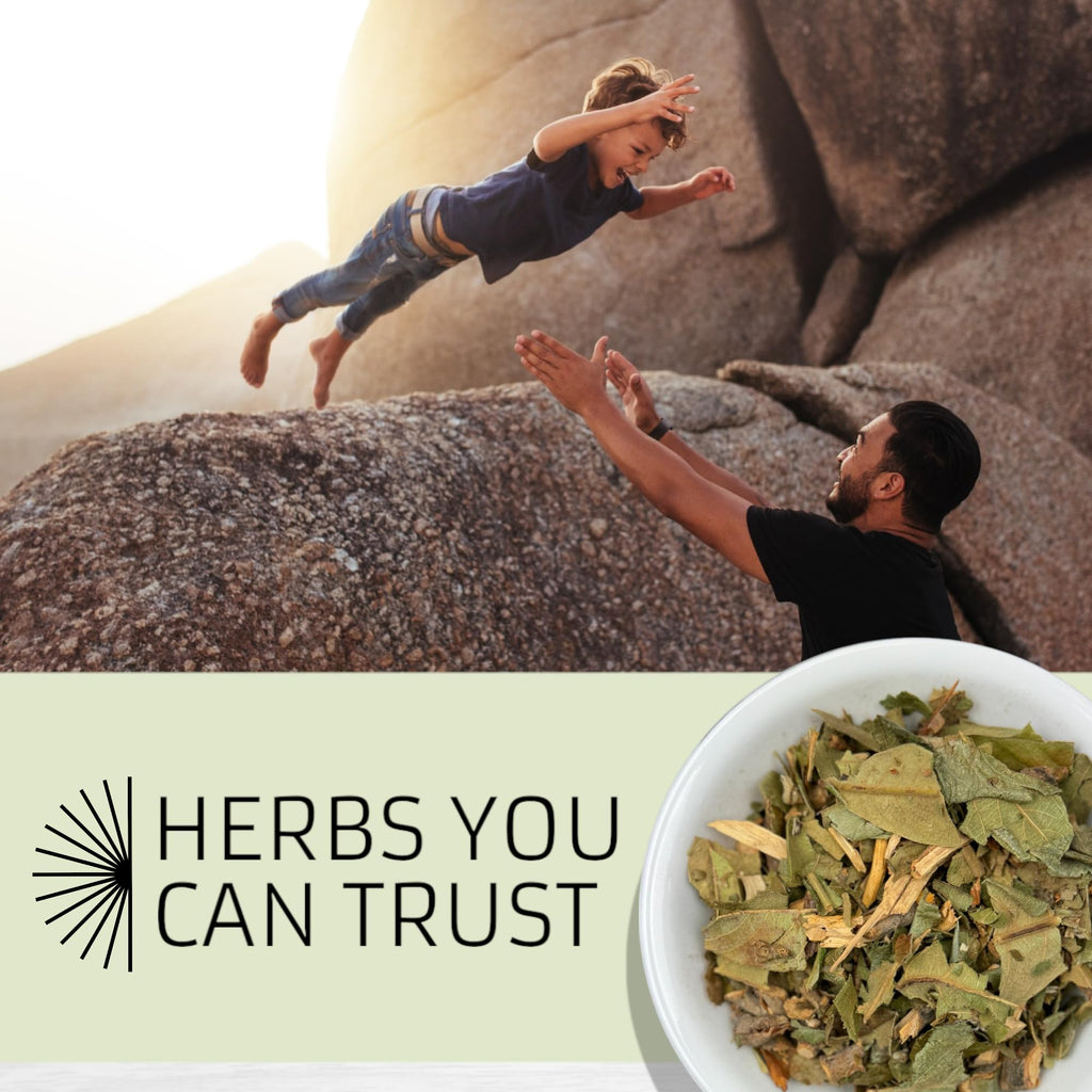 Evergreen Herbs Nispero antioxidant properties