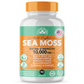 EverSmith Organics immunity support supplement
