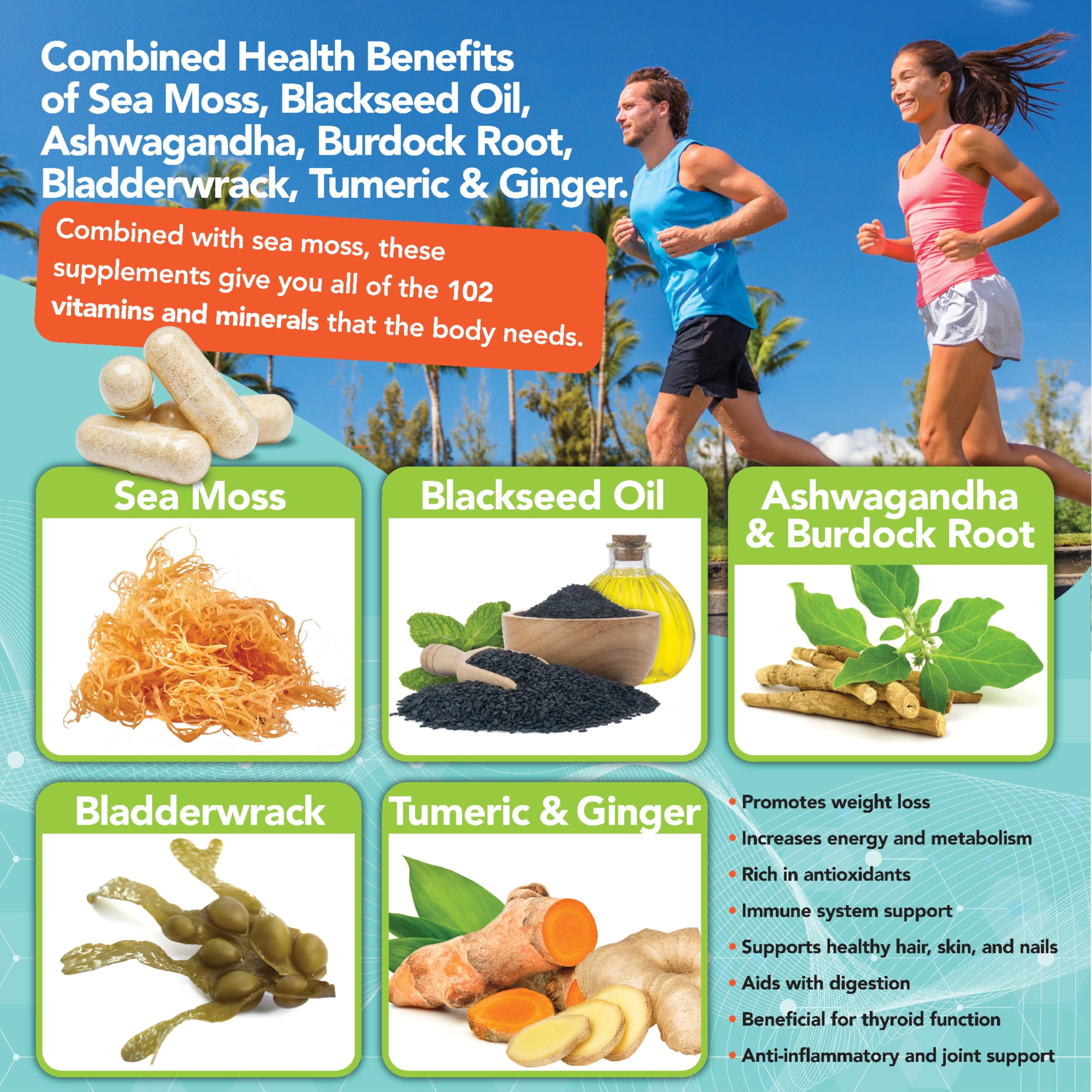 EverSmith Organics sea moss capsules