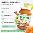 EverSmith sea moss gel benefits