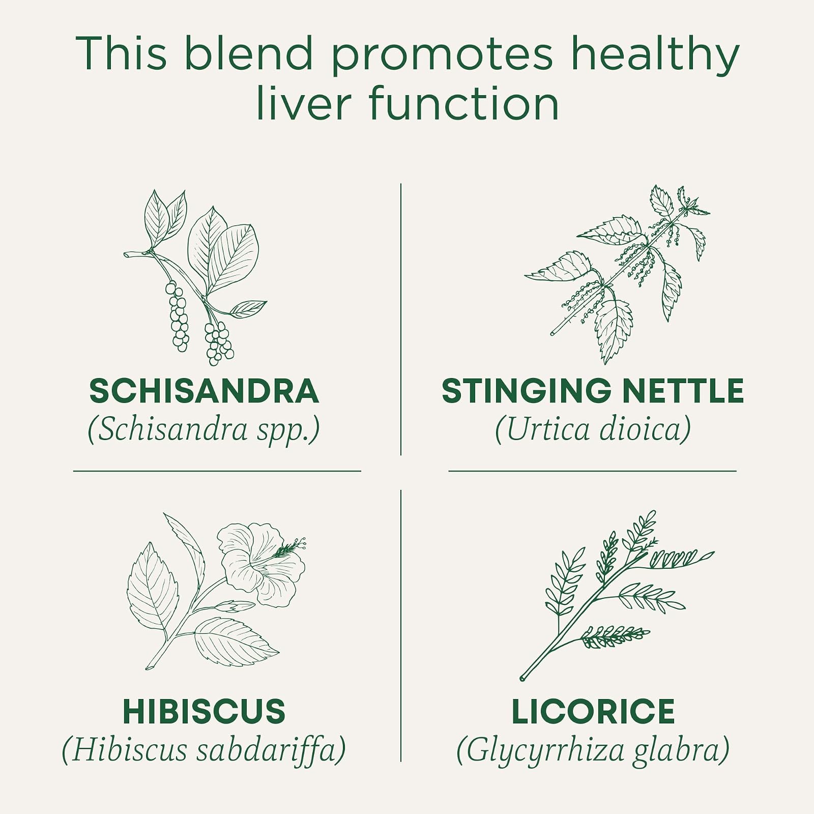 everyday detox tea for wellness