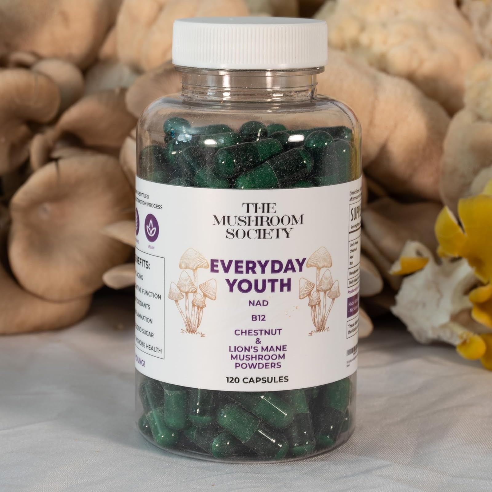 everyday multivitamins for energy