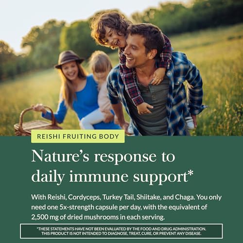 everyday mushrooms for daily wellness