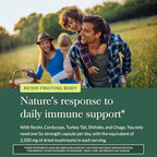 everyday mushrooms for daily wellness