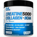 EVL creatine powder for muscle growth