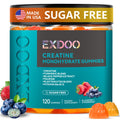 exdoo creatine gummies for muscle growth