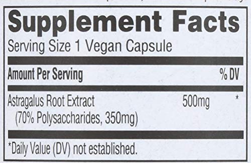 explore astragalus benefits for wellness