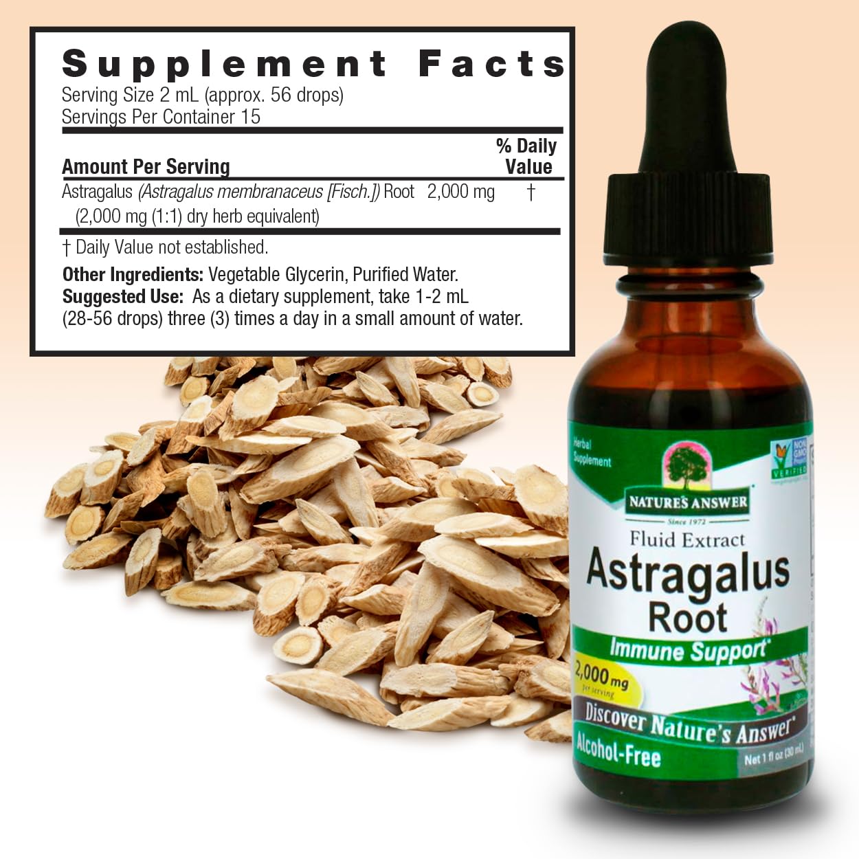 explore astragalus in traditional medicine