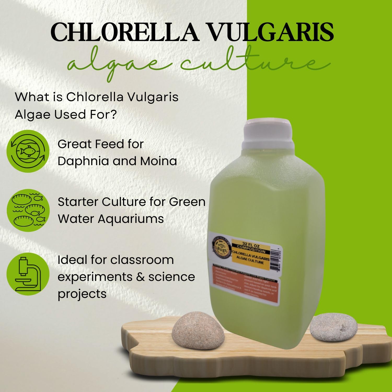 Explore benefits of chlorella