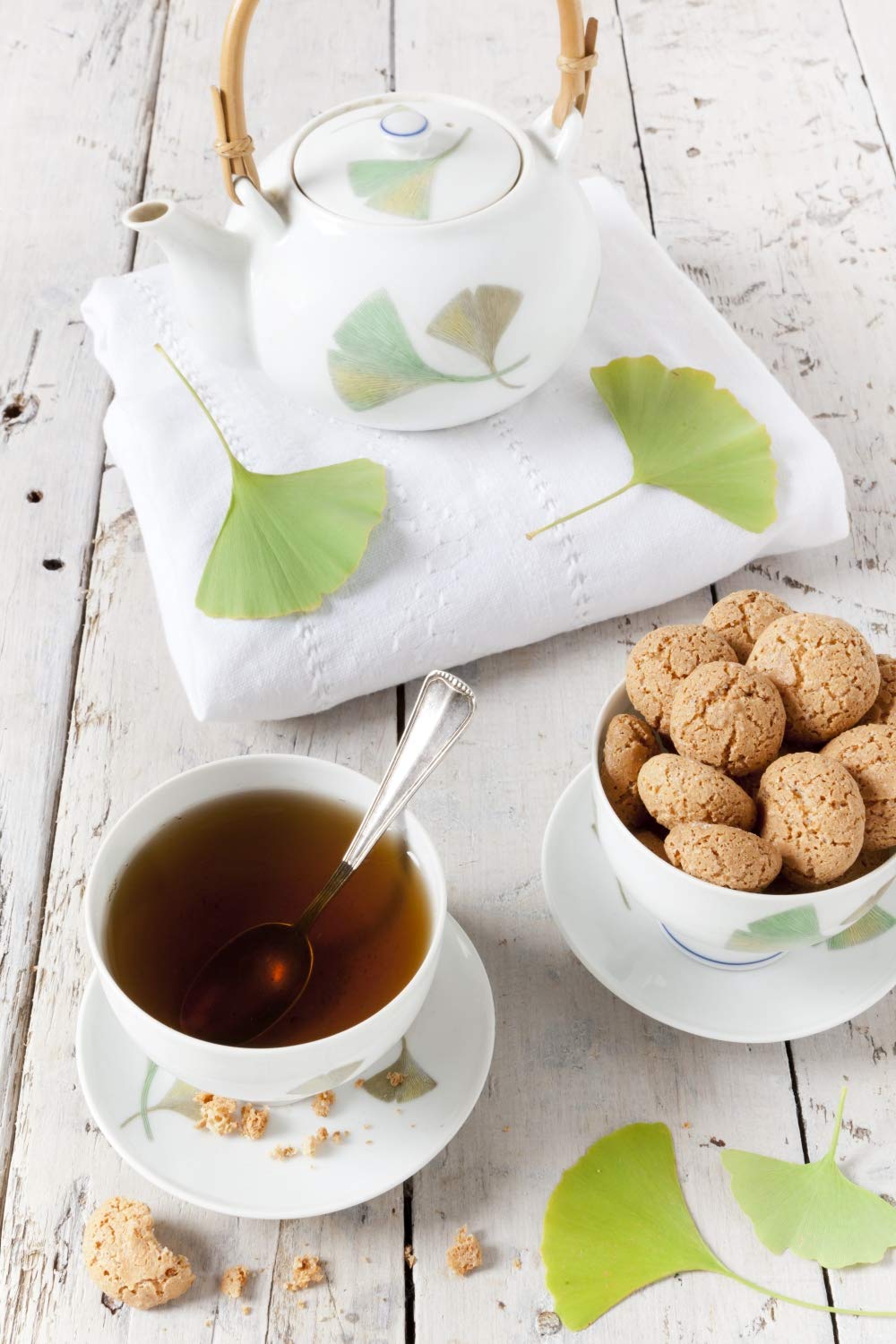 explore ginkgo biloba health advantages