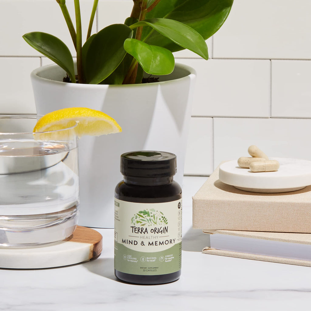 exploring ginkgo biloba health benefits