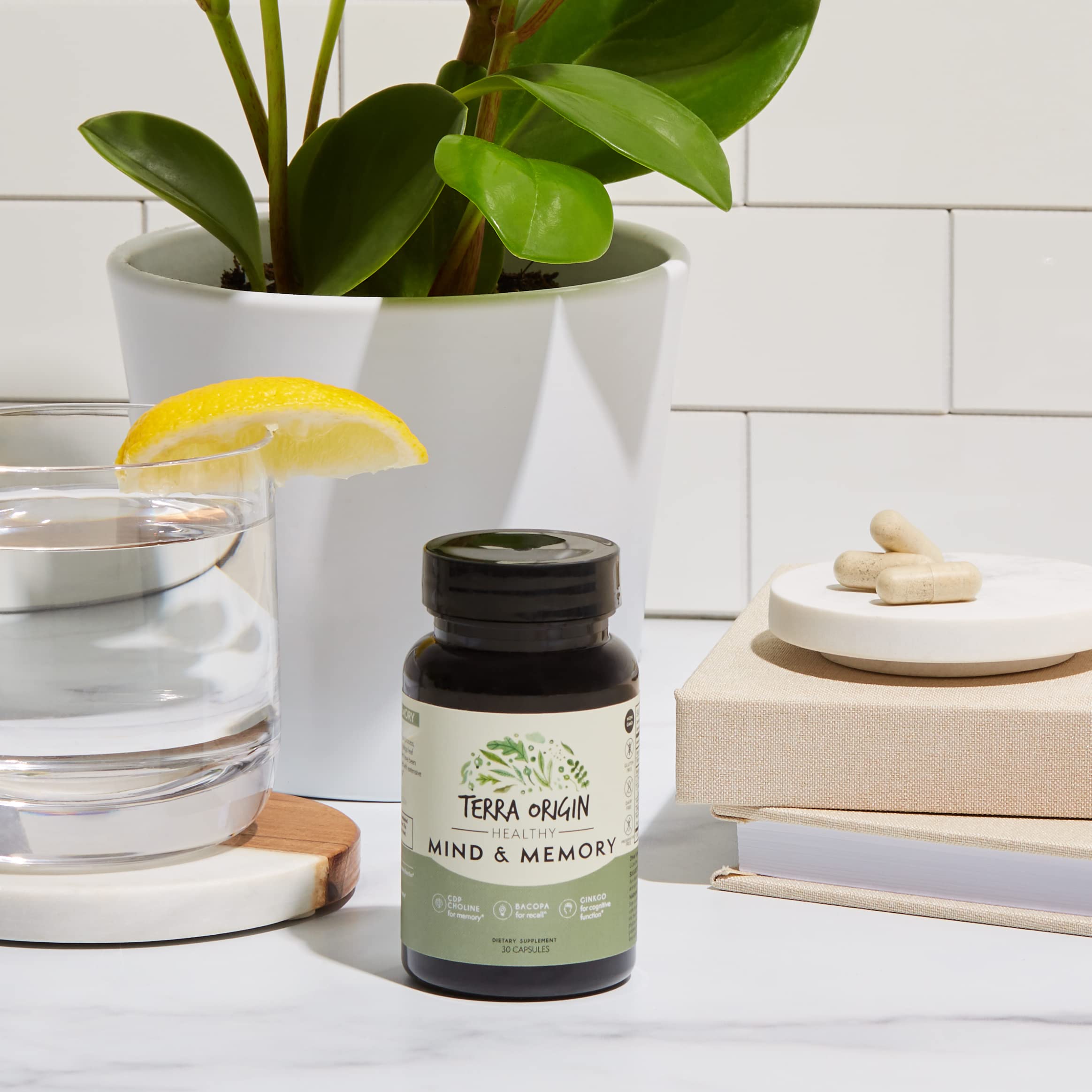 exploring ginkgo biloba health benefits
