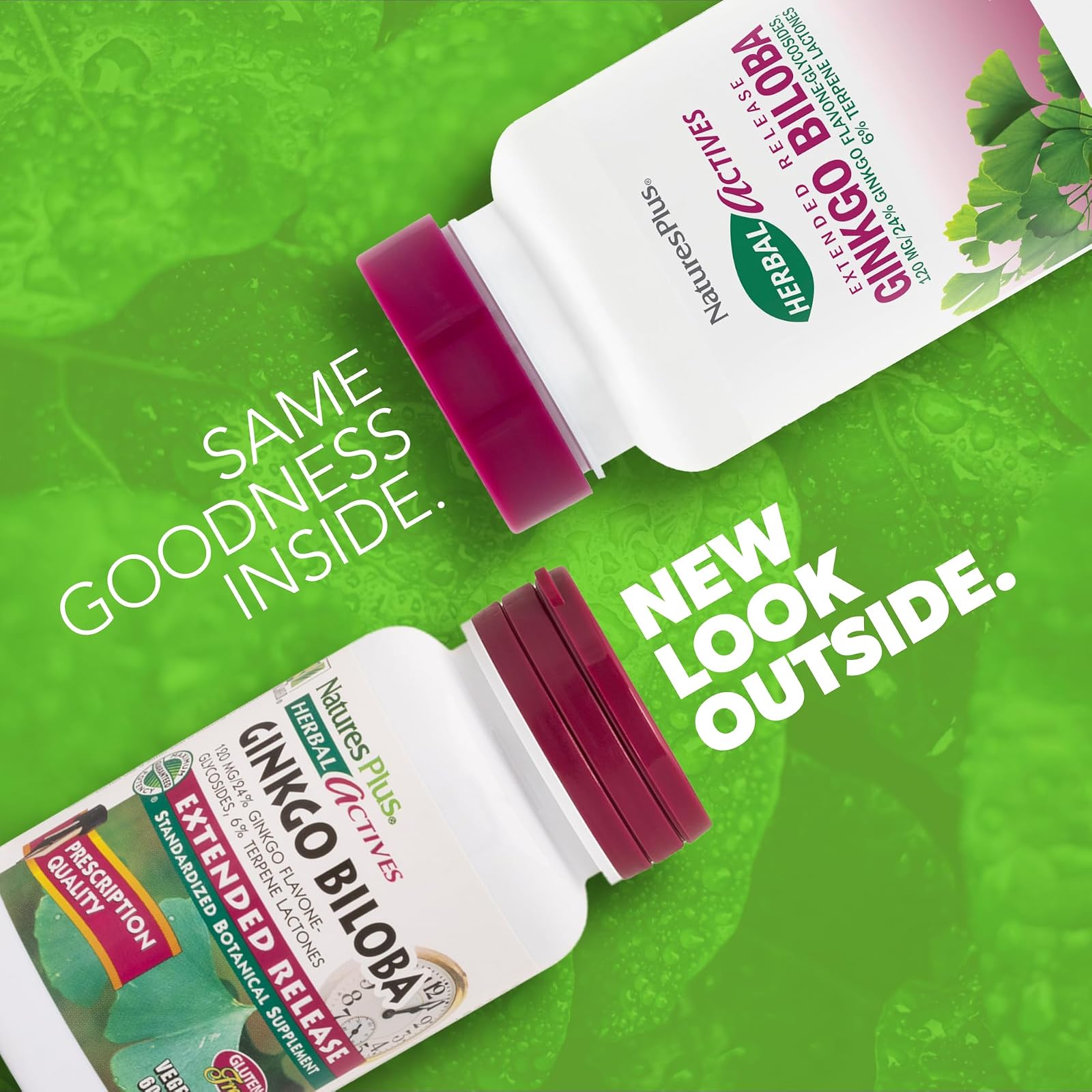 Extended release ginkgo biloba tablets