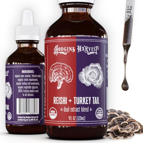 extra-concentrated mushroom extract benefits