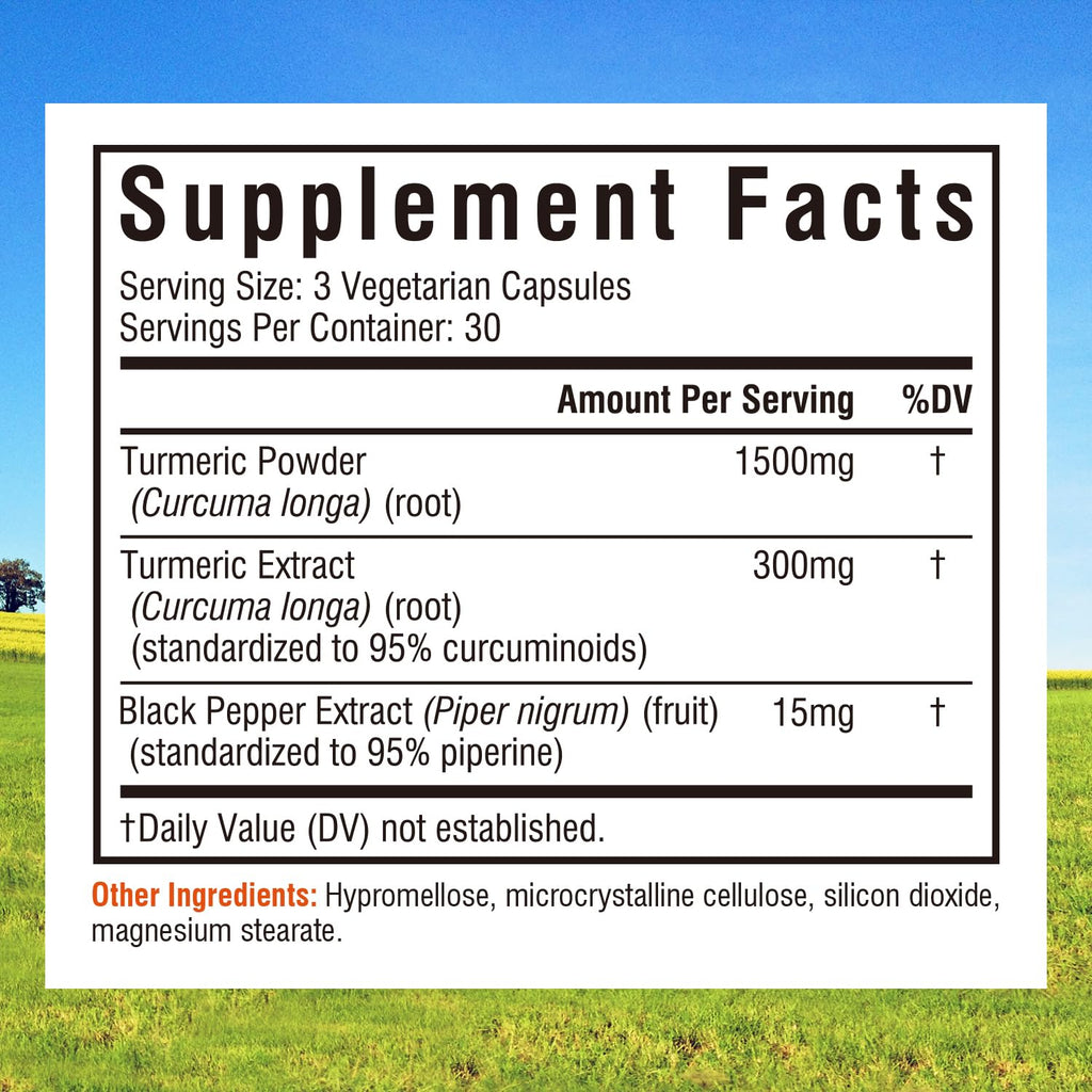 extra strength antioxidant turmeric