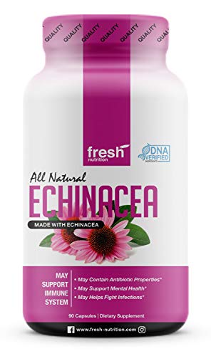 Extra strength echinacea herbal supplement