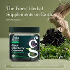 extra strength elderberry immune support