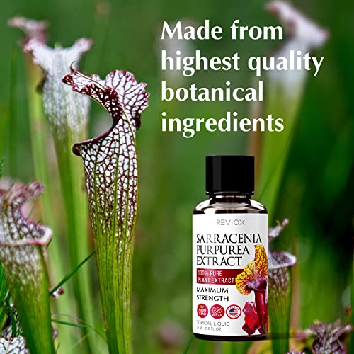 extra strength herbal extract for focus
