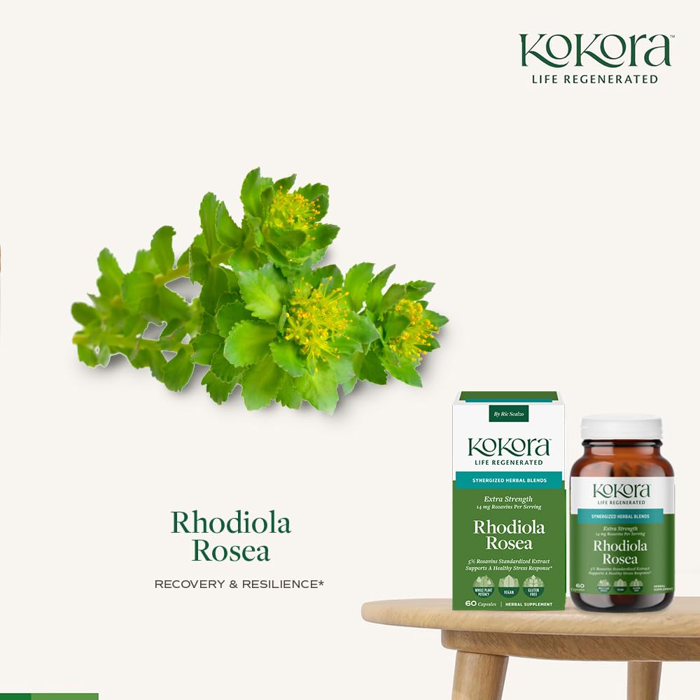 extra strength Rhodiola Rosea for energy boost