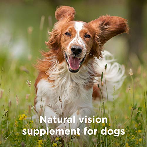 eye care supplements for dogs