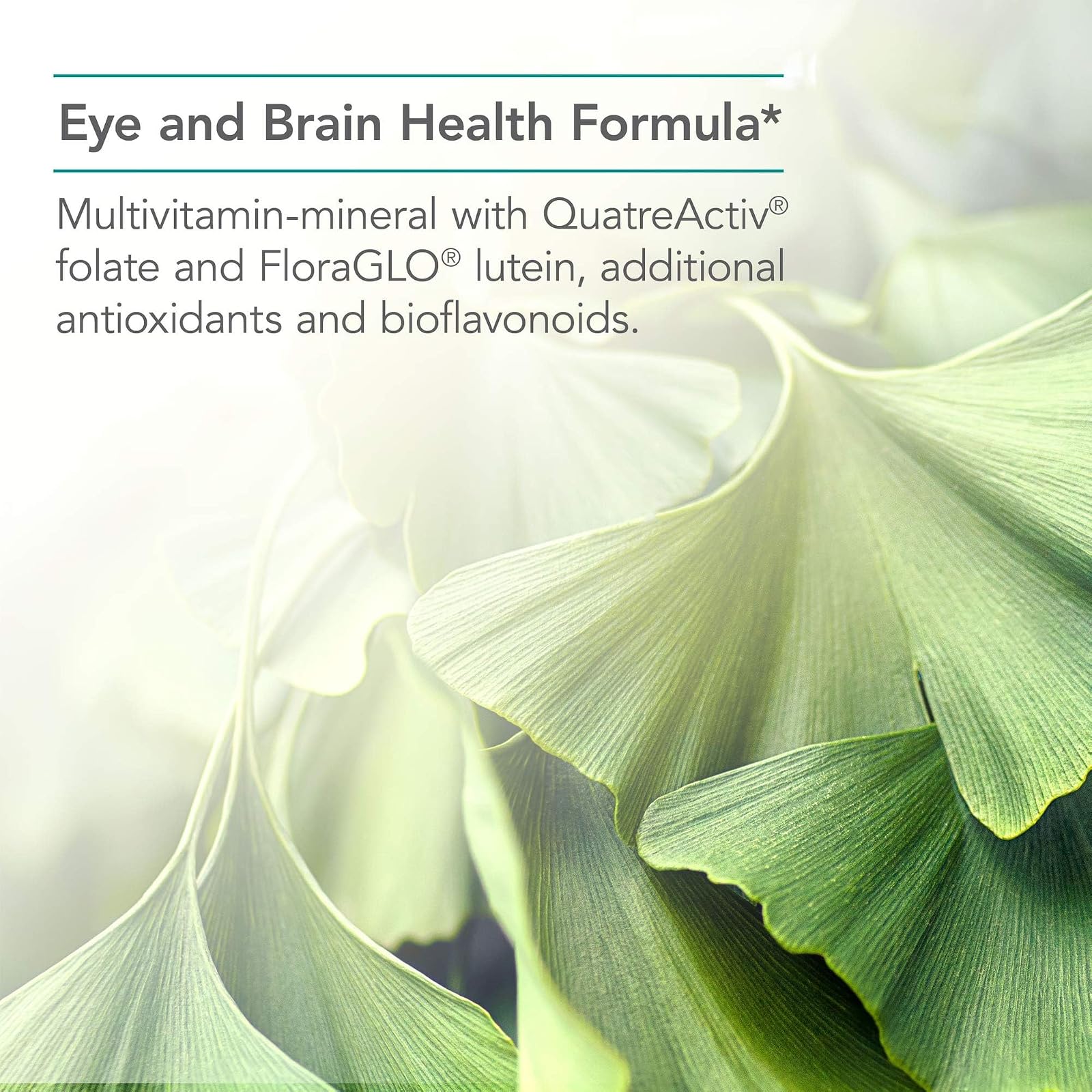 eye health multivitamin for daily nutrition