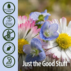 Eyebright for enhanced vision wellness