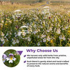 Eyebright herbal infusion for digestion