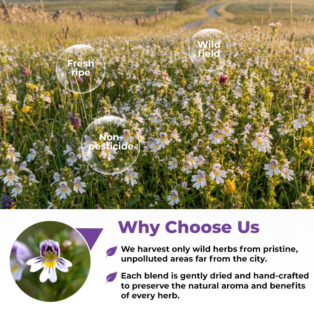 Eyebright herbal infusion for digestion