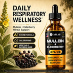 FabLab Mullein tincture for immune support